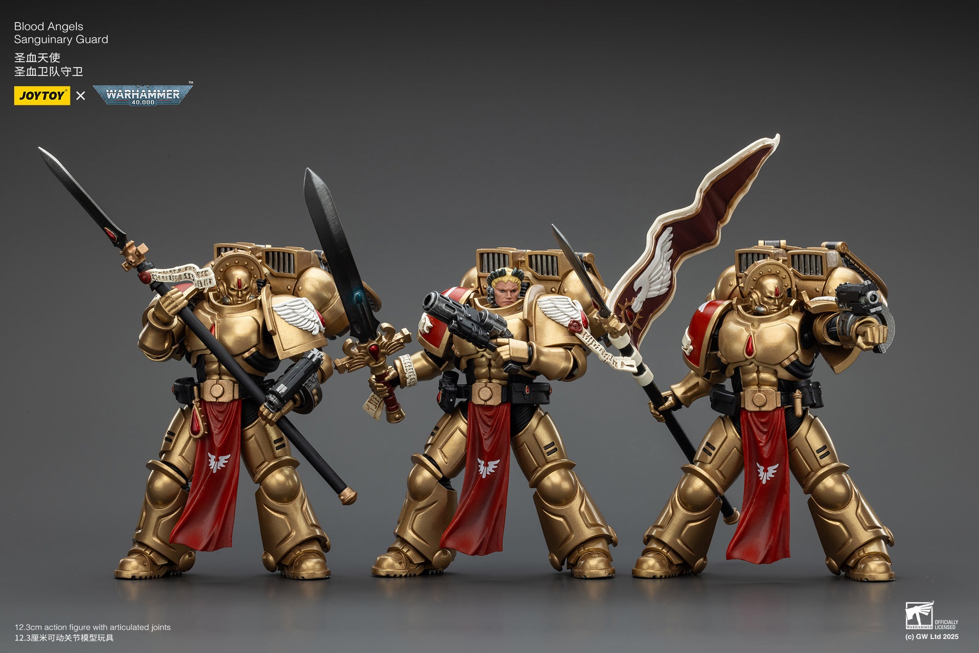 JoyToy Warhammer 40K Blood Angels Sanguinary Guard – David Toys